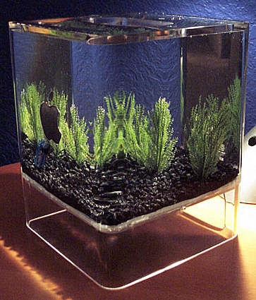 Upcycling Ideas for Apartment Spaces